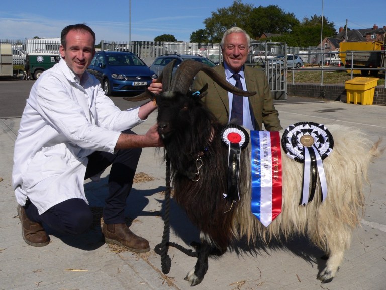 BGS News | The Bagot Goat Society